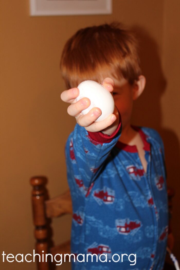 An Egg-Cellent Way to Learn About Teeth