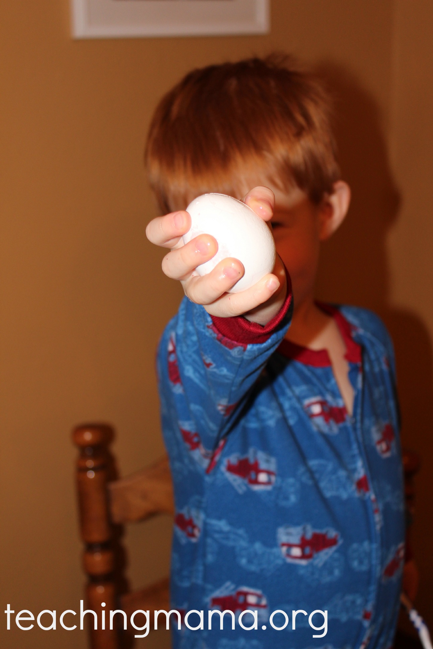 An Egg-Cellent Way to Learn About Teeth