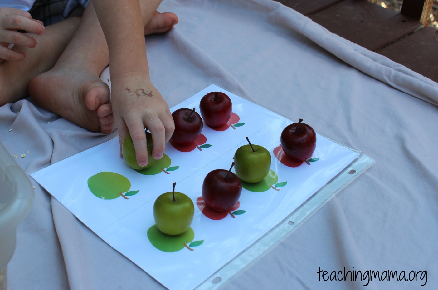 Apple Sensory Bin {With Free Printable} - Teaching Mama