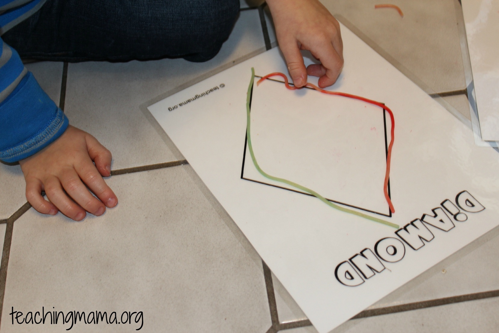 Learning Shapes with Spaghetti Noodles