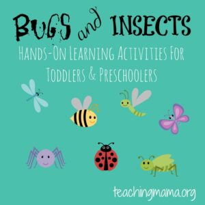 Bugs & Insects Theme - Teaching Mama
