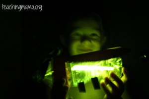 Glowing Firefly Craft