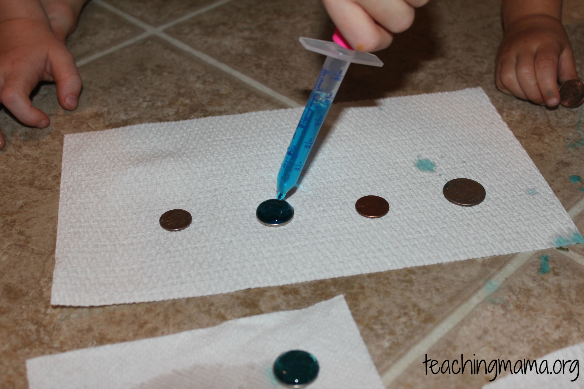 Paper Towel Experiments for Kids
