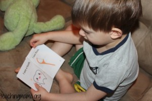 Beginning Reader Activities About Teeth