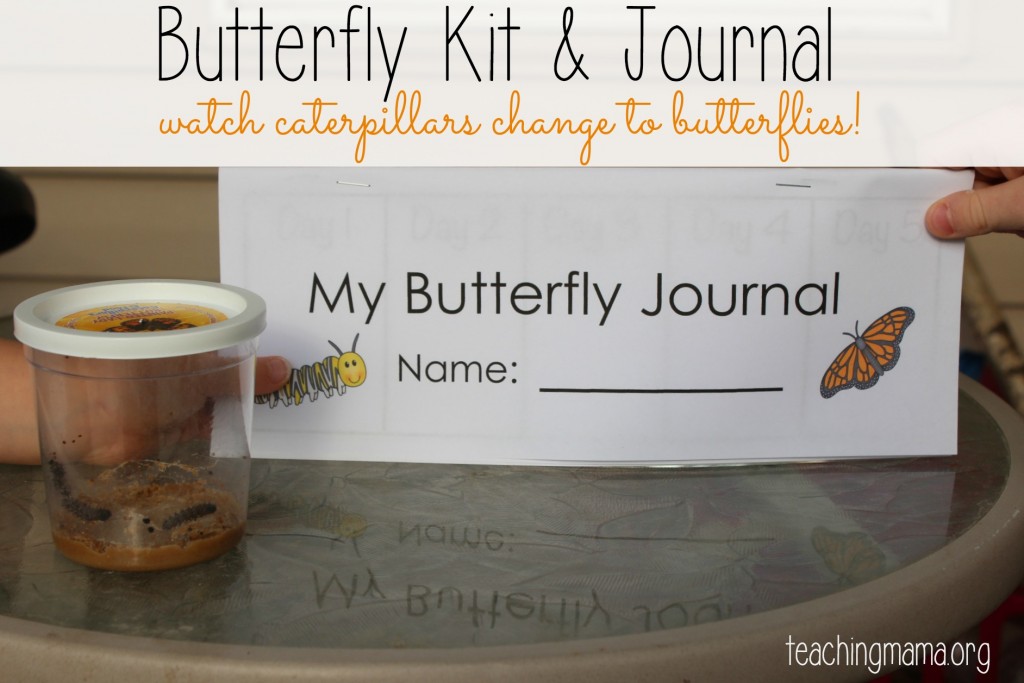Butterfly Life Cycle Kit & Journal