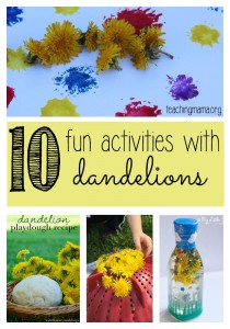 10 Fun Activities with Dandelions