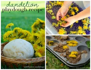10 Fun Activities with Dandelions