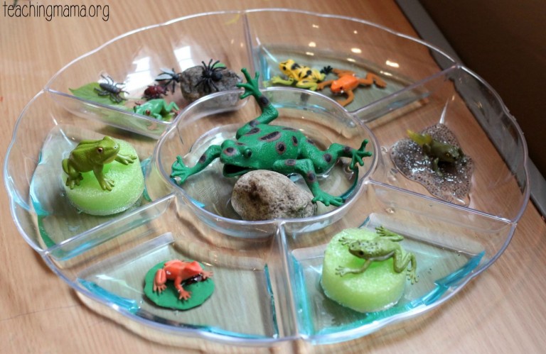 Frog Activities for Preschoolers