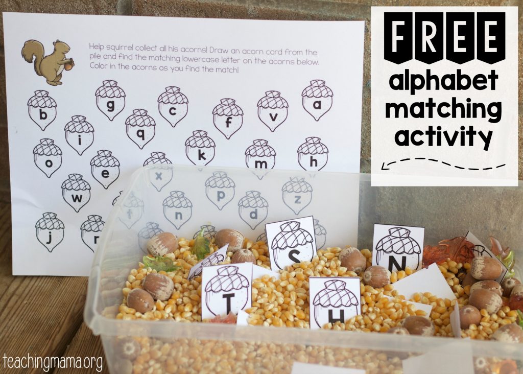 Squirrel Alphabet Matching Activity