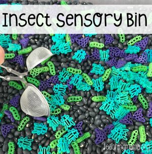 Sensory Table Ideas for the Whole Year - Teaching Mama