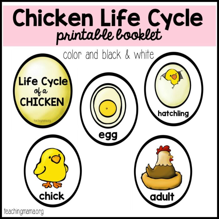 April Preschool Themes and Activities - Teaching Mama