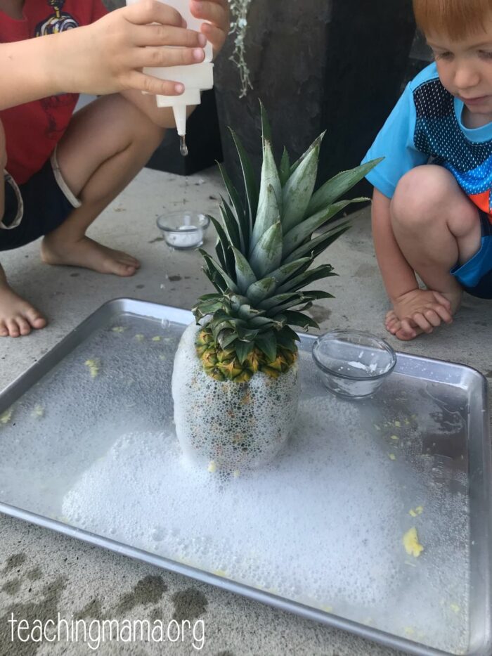 Pineapple Volcano Activity