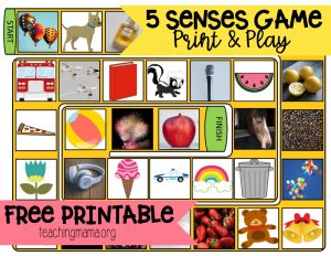 The 5 Senses - Printable Games
