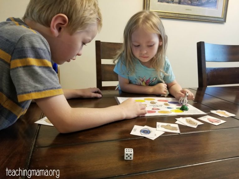 The 5 Senses - Printable Games