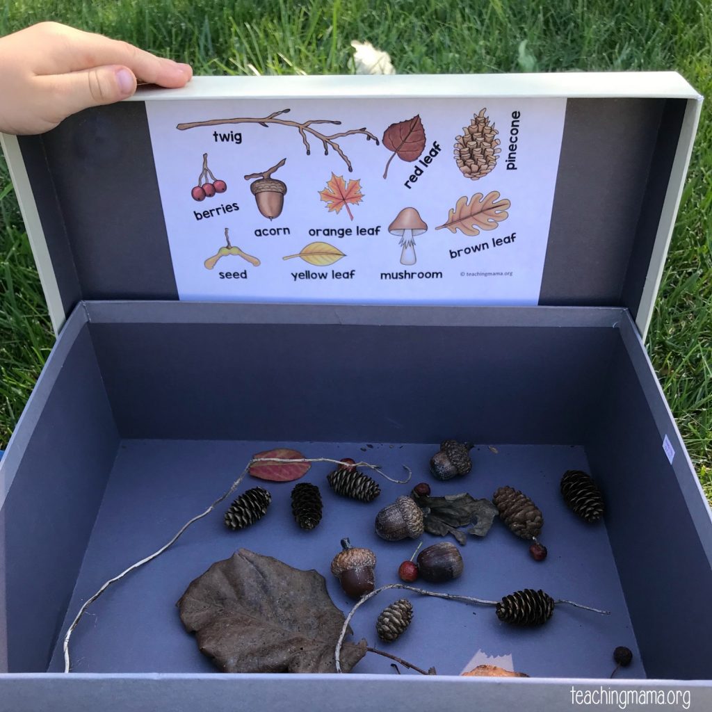 Scavenger Hunt in a Box