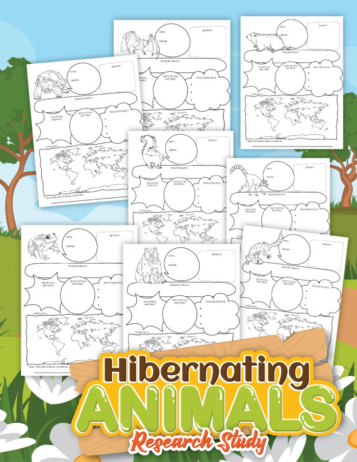 Hibernation Activities for Preschoolers - Teaching Mama