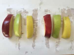 Appleseed Color & Count - Teaching Mama