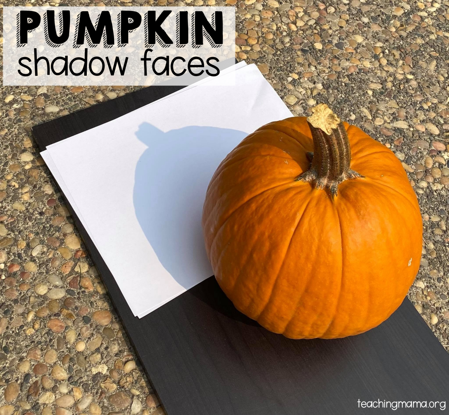 Pumpkin Shadow Faces - Teaching Mama