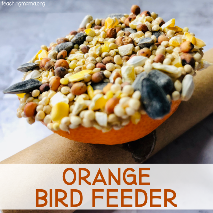 Orange Bird Feeder - Teaching Mama