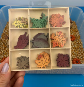 Fall Harvest Sensory Bin - Teaching Mama