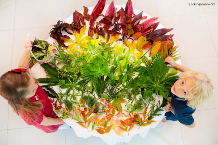 Simple Sorting Activities for Preschoolers and Kindergarteners