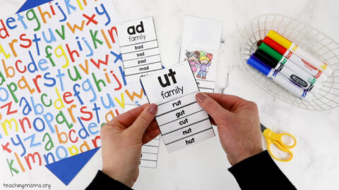 CVC Flip Books - Teaching Mama