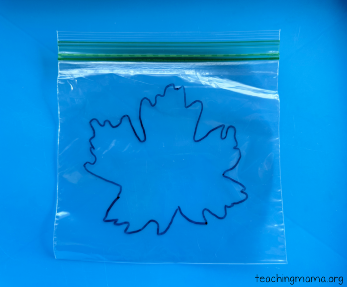 Leaf in a Bag Color Activity - Teaching Mama