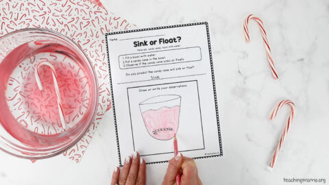 5 Candy Cane Experiments - Teaching Mama
