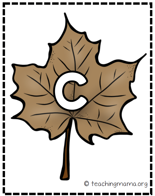 Alphabet Sequencing Activity with Leaves - Teaching Mama