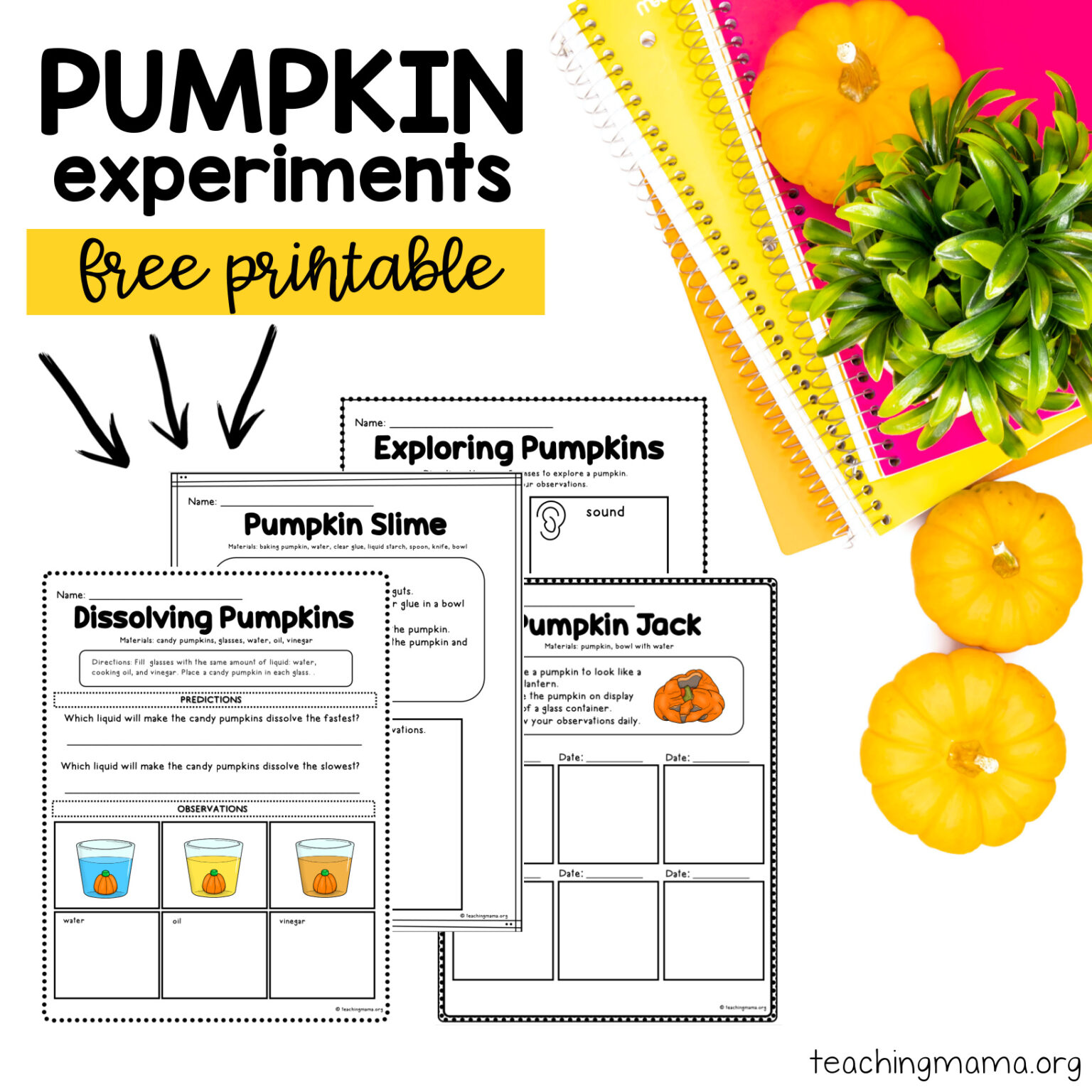 Pumpkin Science Activities - Teaching Mama