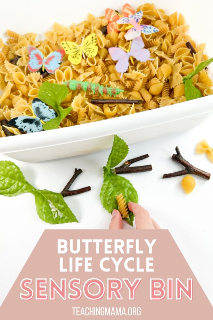 Butterfly Life Cycle Sensory Bin - Teaching Mama